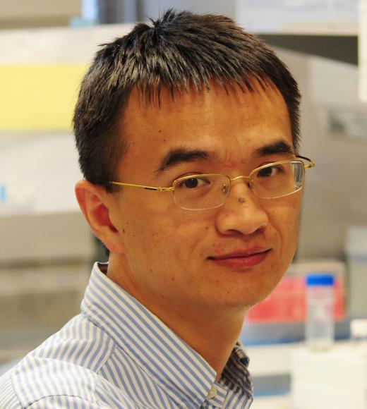 Guodong Zhang | GGNB Guodong Zhang | GGNB